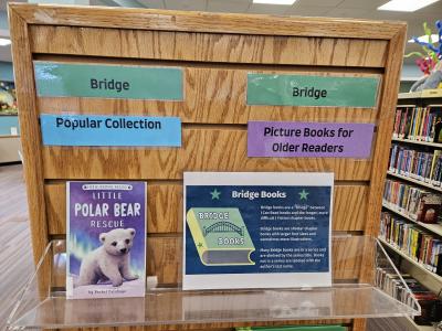 Bridge Books | Farmington Libraries